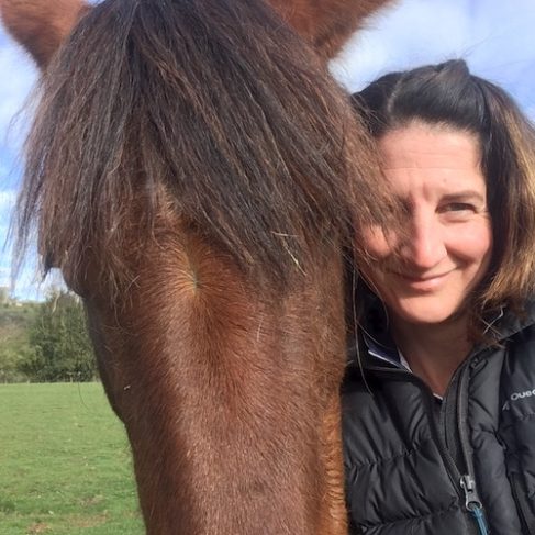 Find a Barefoot Trimmer by Professional Association