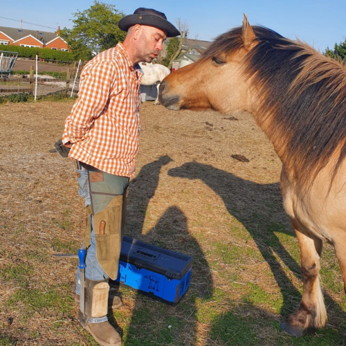 Ross Barker • Barefoot Horse Info