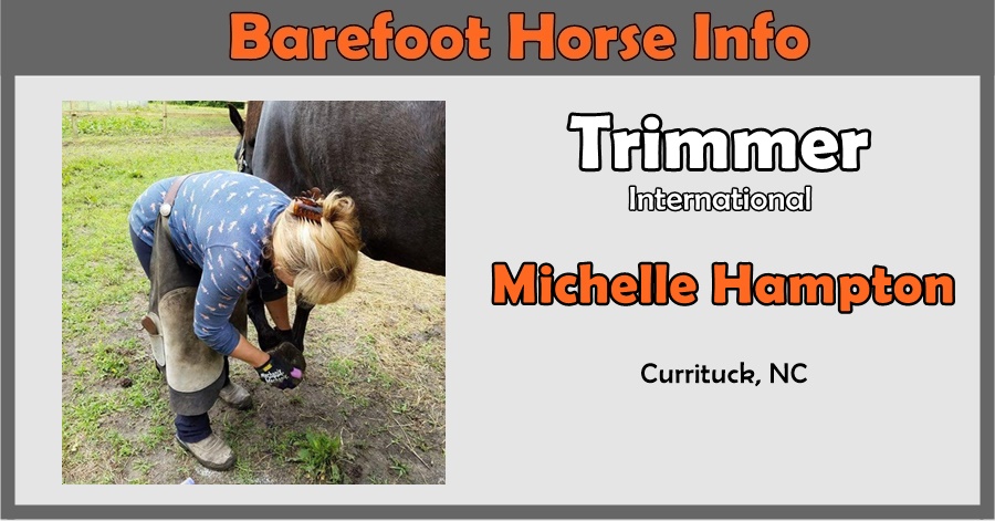 Michelle Hampton • Barefoot Horse Info