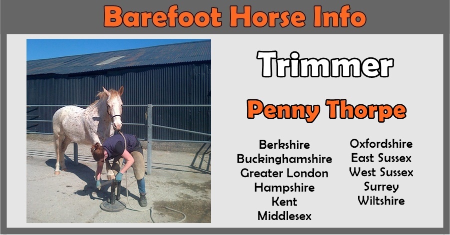 Penny Thorpe • Barefoot Horse Info