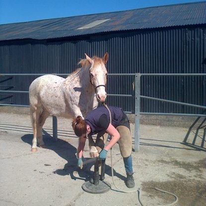 Penny Thorpe • Barefoot Horse Info